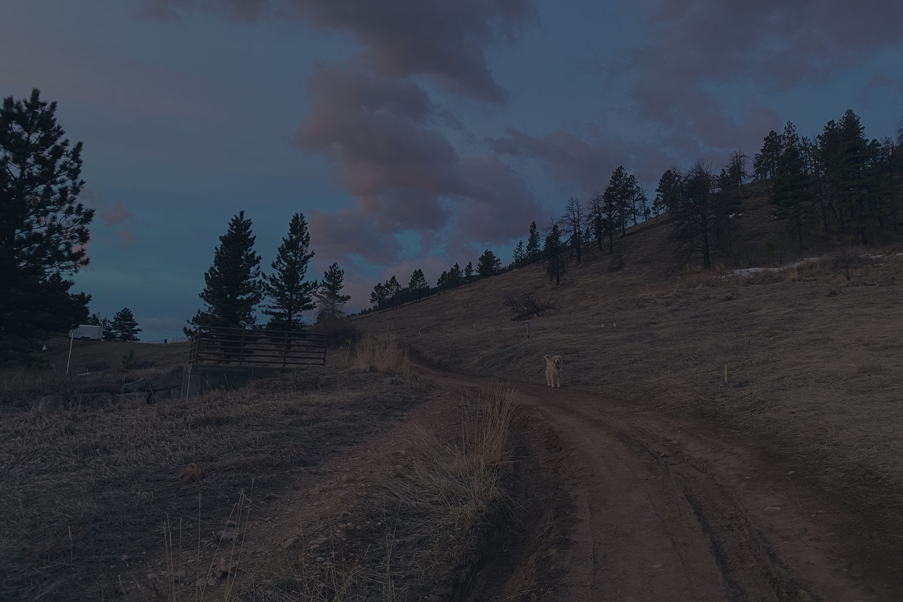 Contact – Dave Naber